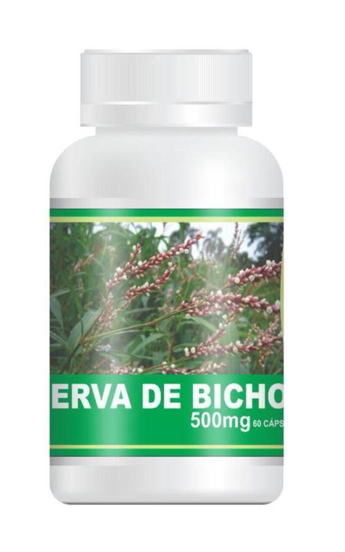 ERVA DE BICHO - 60 Cápsulas - vidareal - Fitoterápicos e Vitaminas ...