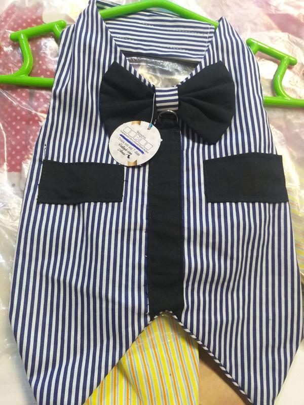 Esmok para caes porte pequeno número 3 - Profeta de Deus - Outros Pets ...