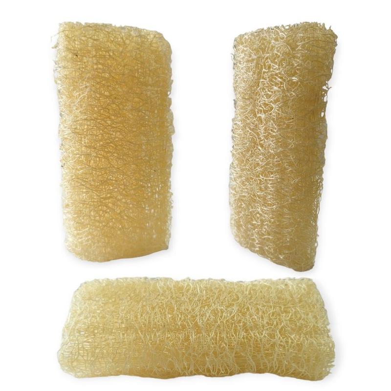 Esponja Vegetal Bucha Natural Ecológica Orgânica Espuma Banho ...