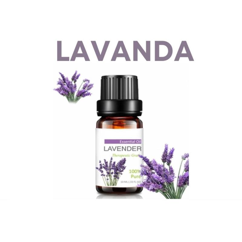Essências Aromáticas para Difusor Umidificador Aromatizador Lavanda ...