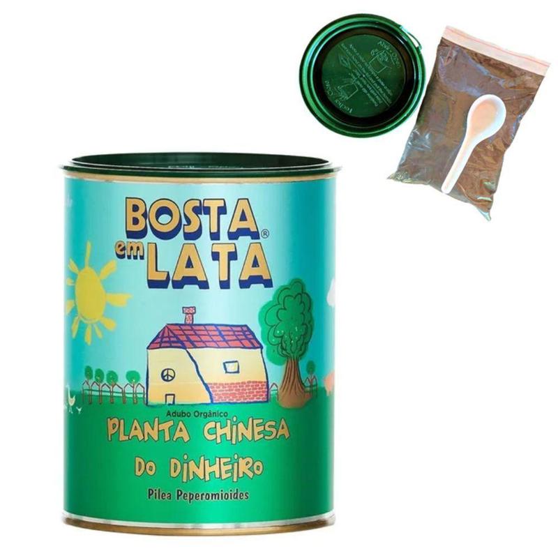 Fertilizante Orgânico Bosta Em Lata Planta Chinesa do Dinheiro Pilea ...