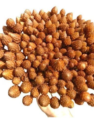 Galhos Mini Pinha Flor Natural Seca Para Arranjo E Decoração - Stop ...