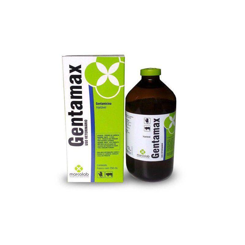 Gentamax Injetável - 250 ml - Ceva - Farmácia Pet - Magazine Luiza