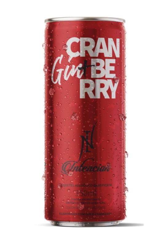 Gin Ice Intencion Cranberry Coquetel Lata 300ml - BALY - Drinks Prontos ...
