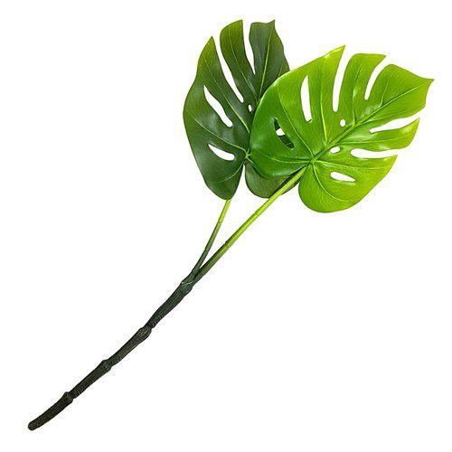 Haste costela de adão verde com 2 galhos 67cm - grillo - Flor e Planta ...