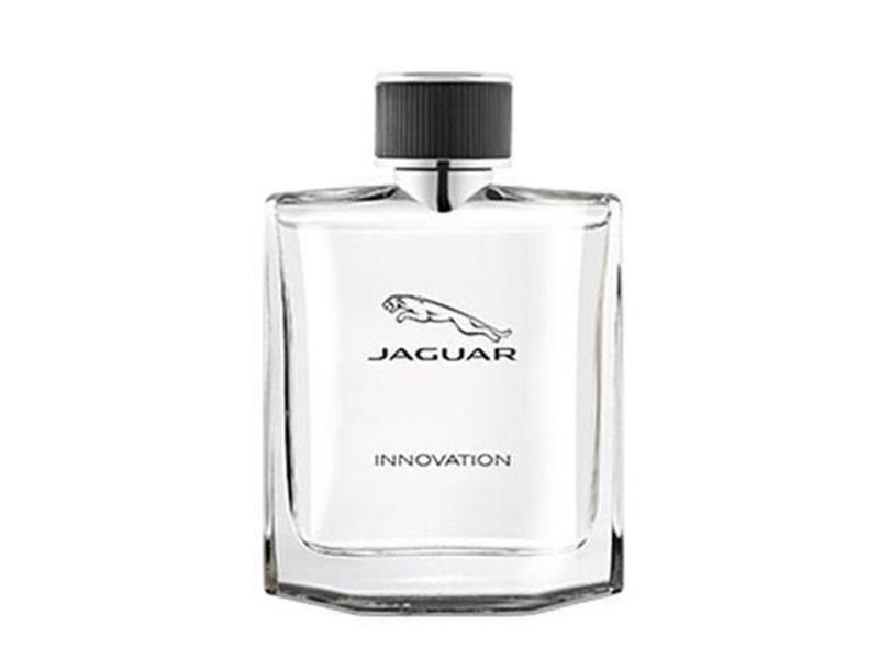 Jaguar Innovation Perfume Masculino - Eau de Toilette 100ml - Perfume ...