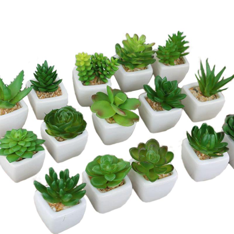 Kit 12 Plantas Cactus e Suculentas Artificiais com Vaso Cerâmica - Chin Yu Lin - Vasos para ...