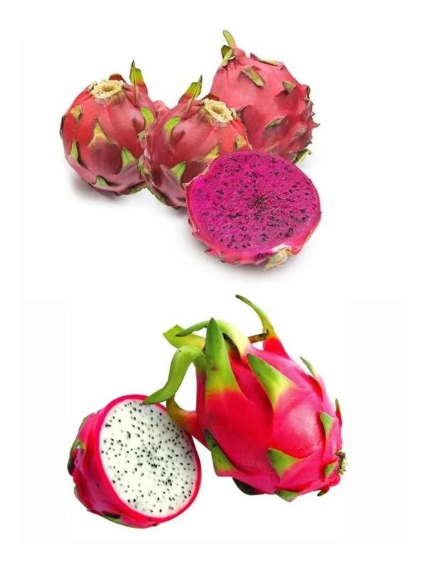 Kit 2 Mudas - 1 Pitaya Branca + 1 Pitaya Vermelha - AMK - Jardinagem e ...
