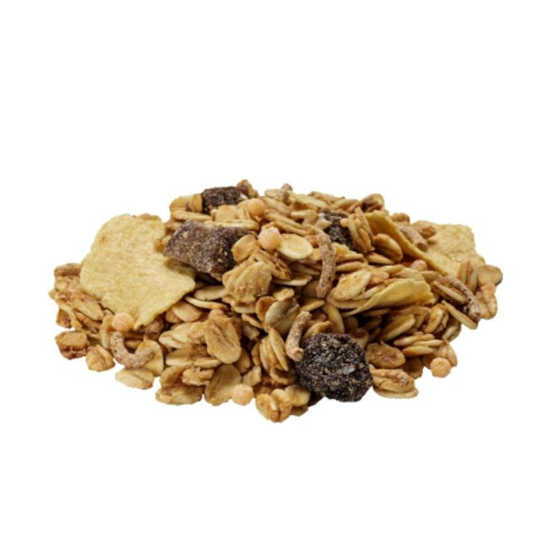 Kit 3 Granola Light Zero Açúcar Banana X-Pin 600g Tia Sônia - Granola ...