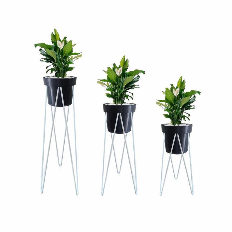 Kit 3 Suportes Tripé Chão PMG Preto Com Vaso Planta Preto nv515 - Novo ...