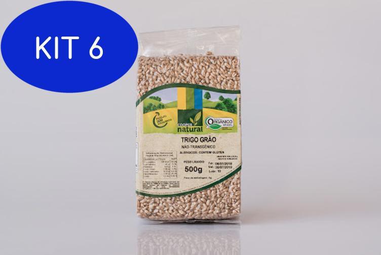 Kit 6 Trigo Em Grãos Orgânico Coopernatural 500G - Alimentos Básicos ...