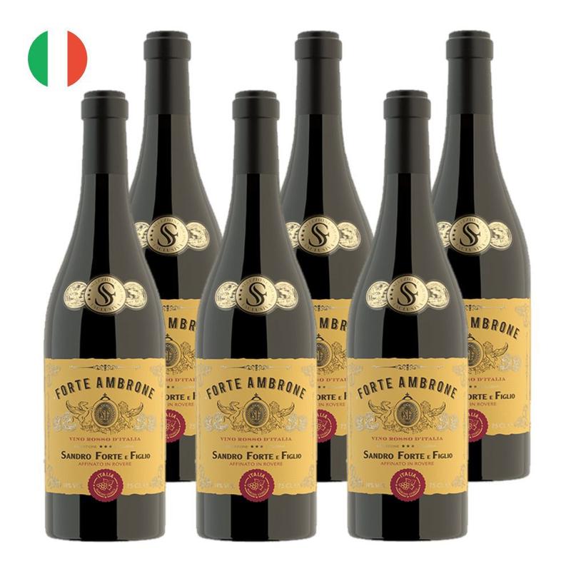 Kit 6 Vinhos Forte Ambrone Vino Rosso dItália Tinto 750ml - Sandro ...
