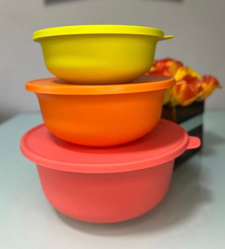 Kit aloha Tupperware - Tupperware - Pote - Magazine Luiza