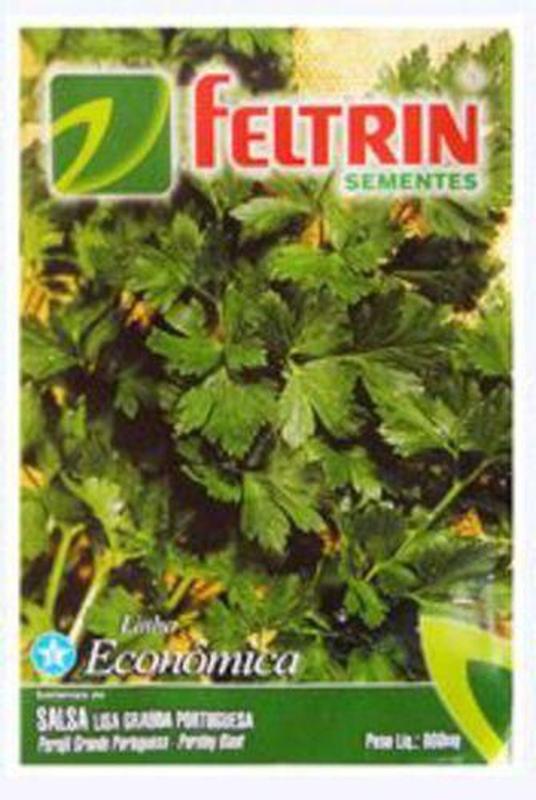 Kit C/ 25pt Semente Salsa Lisa Gigante Portuguesa - Feltrin - Sementes ...