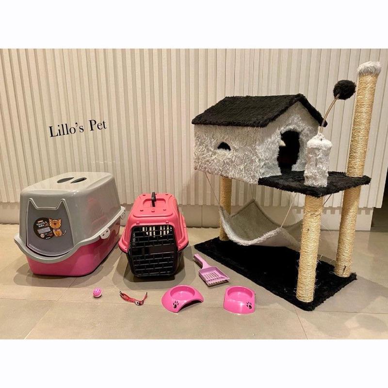 Kit Gato Arranhador Caixa Banheiro Comedouro Completo Luxo - Lillos Pet ...