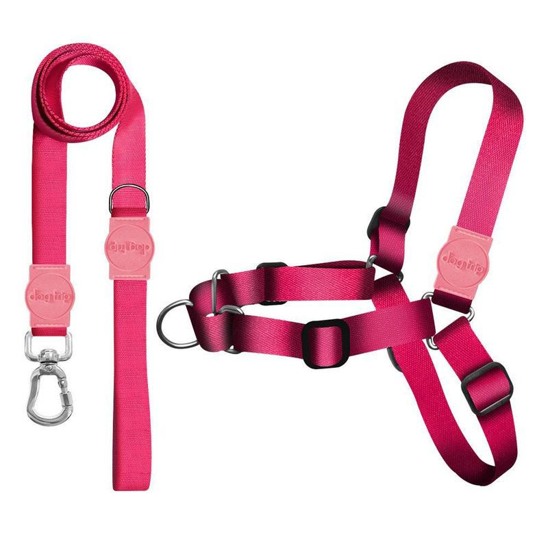 Kit Guia Premium + Peitoral Anti Puxão Classic Dog Trip Brasil Rose ...