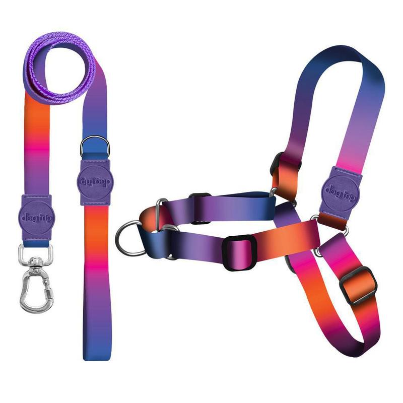 Kit Guia Premium + Peitoral Antipuxão Padang Dog 1307 - Dog Trip Brasil ...