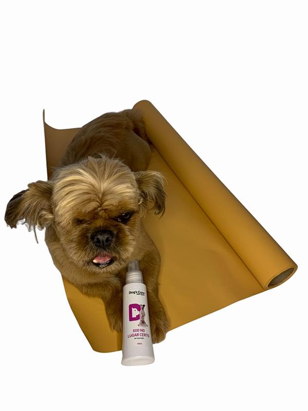Kit Pipi Pode Educador Sanitário + Rolo de Papel 60cm X 25m - Origami ...