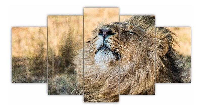 Kit Quadros Decorativos Quarto Sala Animal 5 Peças Leão - DecoreStudio ...