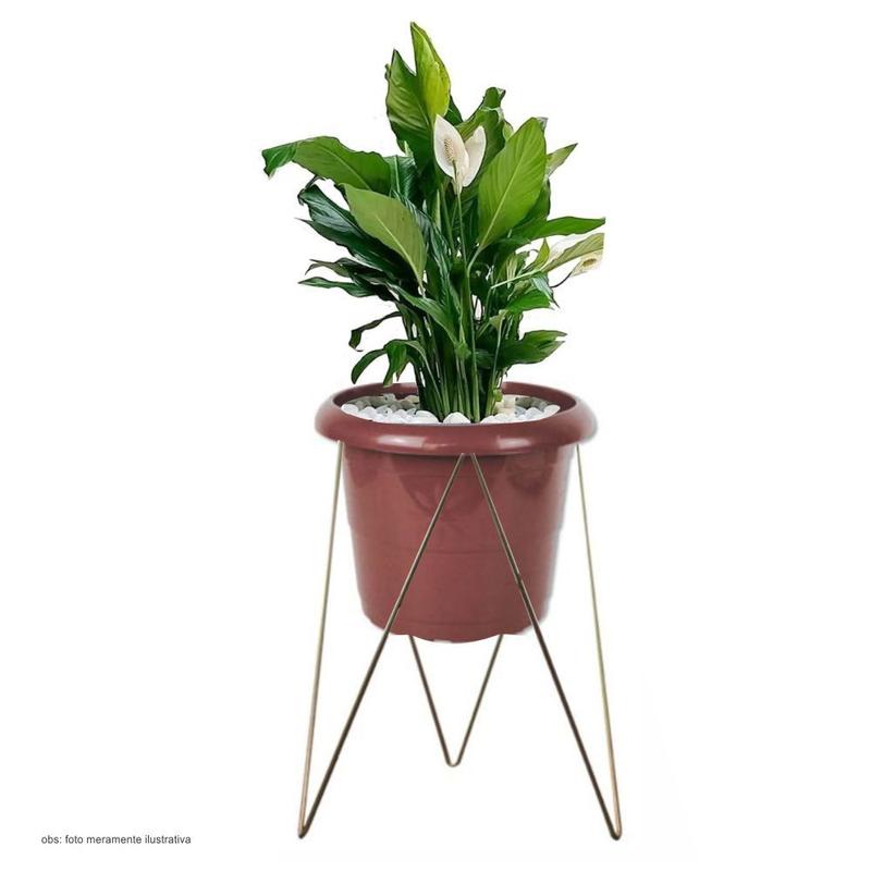 Kit Suporte de Chão Tripé Dourado c/Vaso de Flor Terracota nv511 - Novo ...