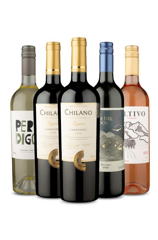 Kit Vinho Chilano Carménère + Vinhos Argentinos 5und - Viña Ventisquero ...
