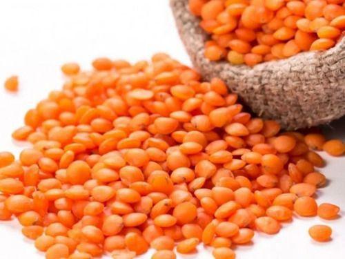 Lentilha Rosa 500g - Temper Ervas - Lentilha - Magazine Luiza