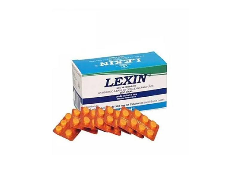 Lexin 300mg com 12 comprimidos DUPRAT - Farmácia Pet - Magazine Luiza