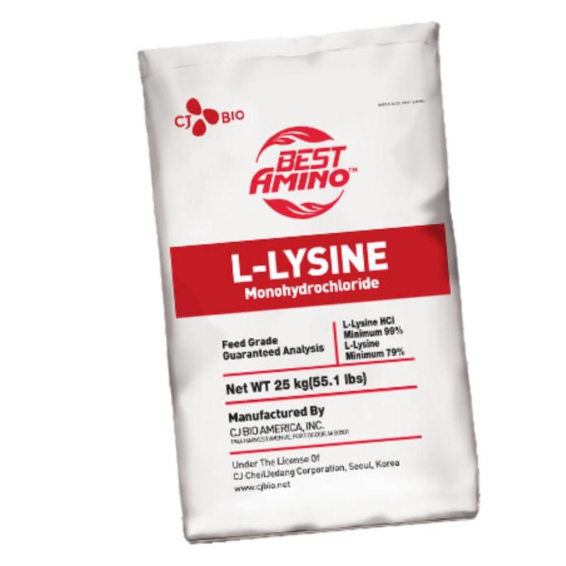 Lisina 1kg - BESTAMINO - Mel - Magazine Luiza