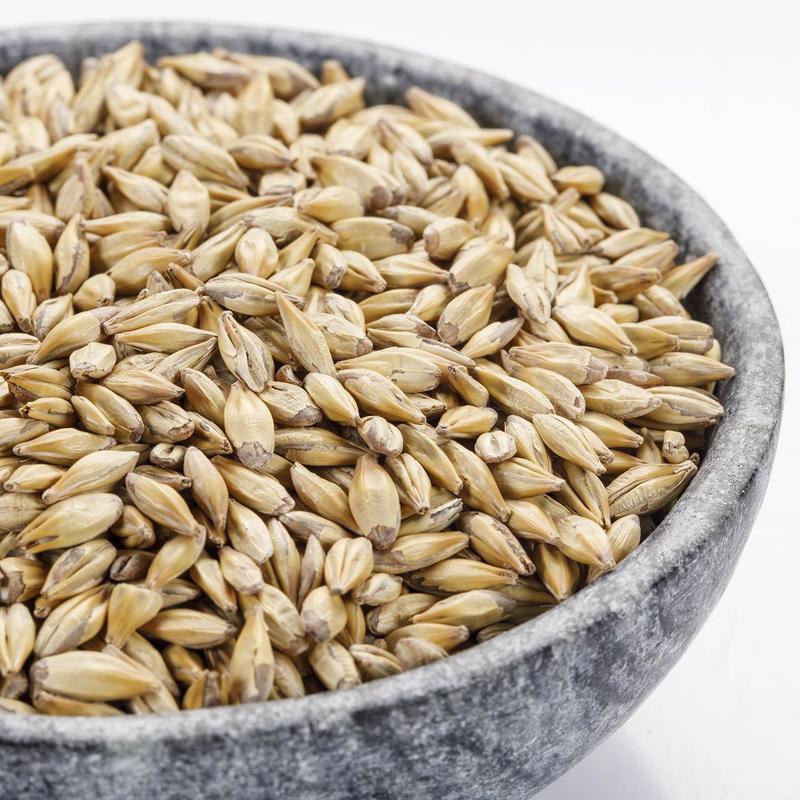 Malte Maltear Pilsen Embalagem 1Kg - Cerveja - Magazine Luiza