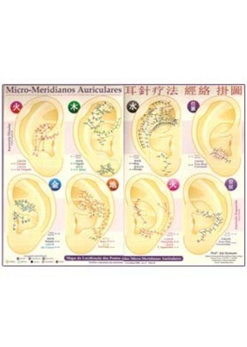 Mapa Micro-Meridianos Auriculares - Instituto Samurai - Mapas e Atlas ...