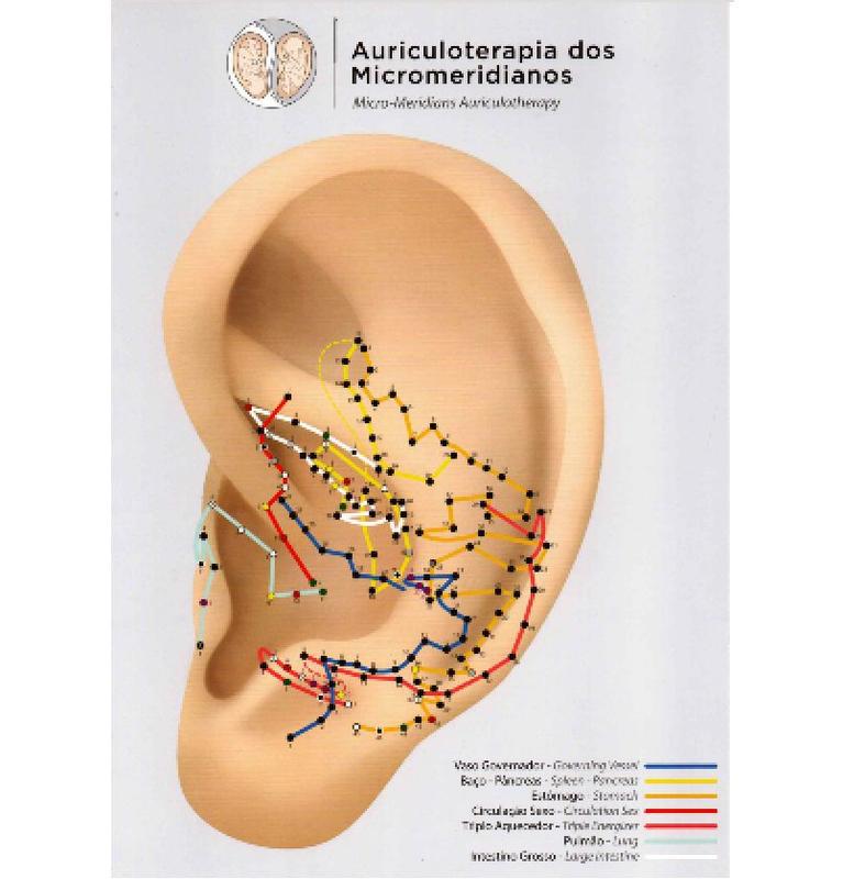 Mapa Os Micromeridianos na Orelha - Pesquisadores: Célio Pasqua e ...