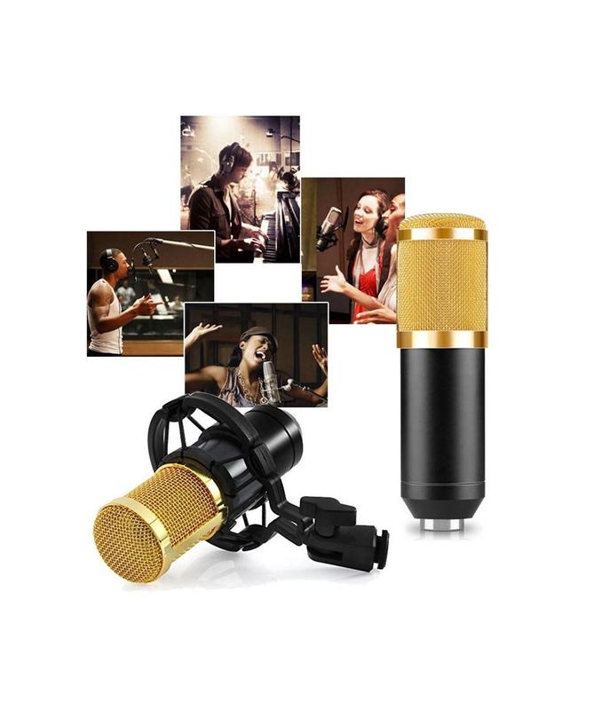 Microfone Condensador Bm800 Profissional Estúdios Musicais Gravação ...