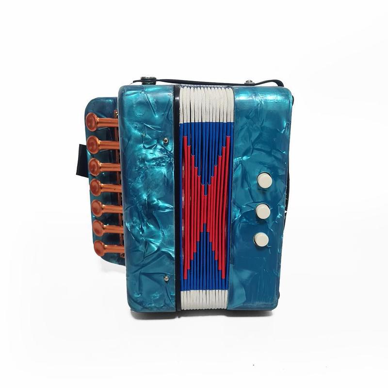 Mini Acordeon Infantil Sanfona Instrumento Musical 2 Baixos - Microtech ...