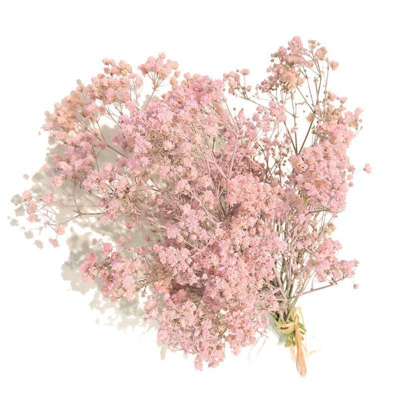 Mini Buquê Gypsophila (mosquitinho) Rosa - Floricultura Frutaflor ...