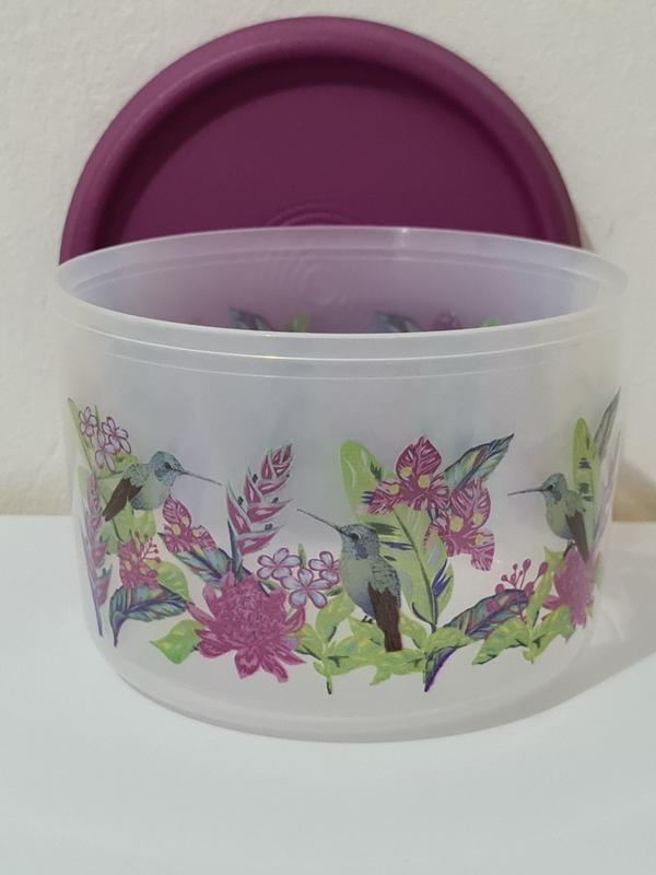 Mini Instantânea mágica 575ml Tupperware - Tupperware - Pote - Magazine ...