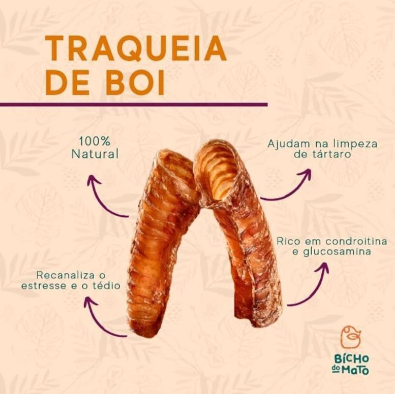 Mini Traqueia de Boi - Bicho do Mato - Instrumentos de Sopro - Magazine ...
