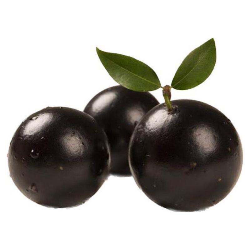 Muda de Jabuticaba Sabará - Vaso&Flor - Vasos para Plantas - Magazine Luiza