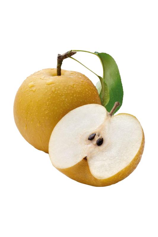Muda Frutífera de Pera Hosuii (Mole) - Viveiro de Mudas São João - Muda ...