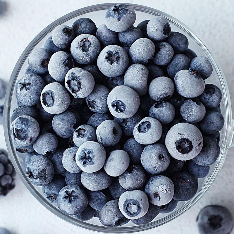 Muda Produzindo de Mertilo ou Blueberry para Clima Quente ...
