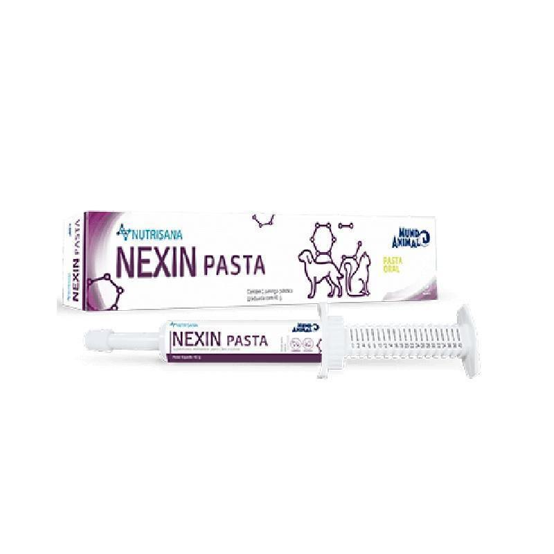 Nexin Pasta Seringa - 40 Gr - Mundo Animal - Vitaminas e Suplementos ...