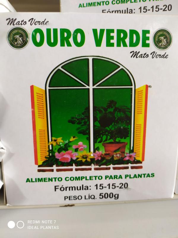 Ouro verde pó 500g - Mato verde - Temperos e Condimentos - Magazine Luiza