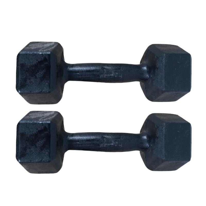 Par de Halter Sextavado Pintado 4kgs Musculação Academia - 1 Fit ...
