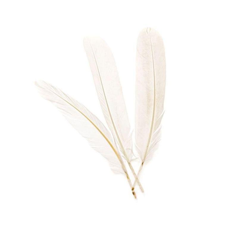 Pena Leque Leque - Nova Zé - Leque - Magazine Luiza