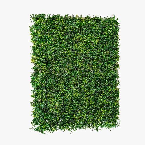 Placa Buchinho Artificial Muto Inglês Grande Paredes 60x40cm - VITAL ...