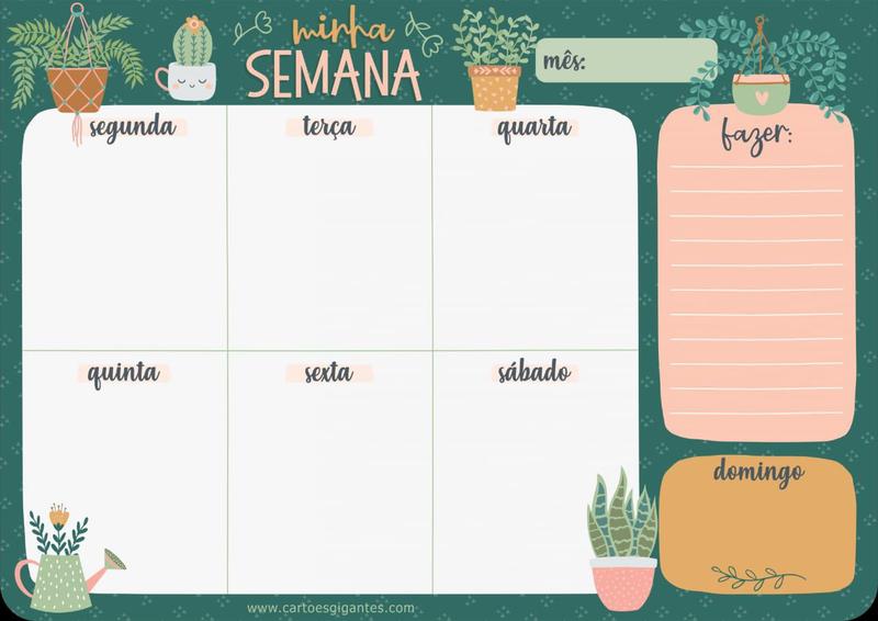 Planner de Mesa Minha Semana - Cartões Gigantes - Planner - Magazine Luiza