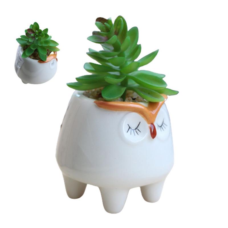 Planta artificial suculenta caqueiro cerâmica decoração casa - AIH ...