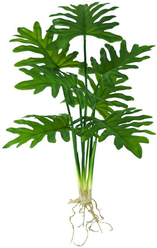 Planta Imbé Com Raiz Luxo 66cm Verde Realista Para Sala - La Caza Store ...