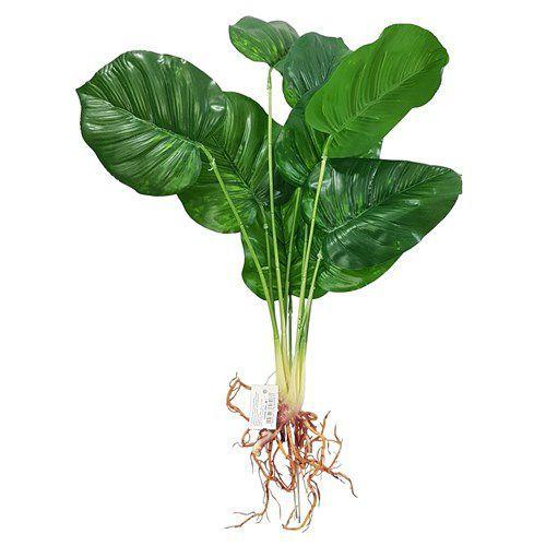 Planta photos real toque verde c/raiz x9 - GRILLO - Flor e Planta ...