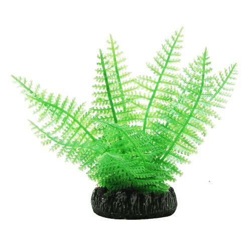 Planta Plástica Soma Samambaia Verde Fina 10cm - Grama Sintética ...