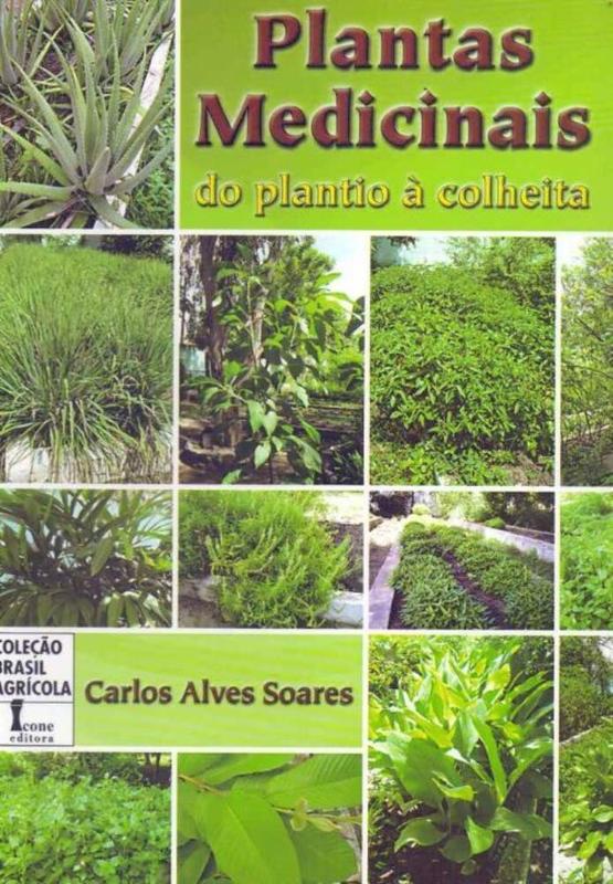 Plantas Medicinais do Plantio à Colheita - Livros de Botânica ...